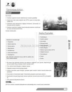 10.Sınıf Biyoloji ATP Konu Anlatımı PDF – YENİ MÜFREDAT 2025-2026 Biosem Biyoloji | Zeduva